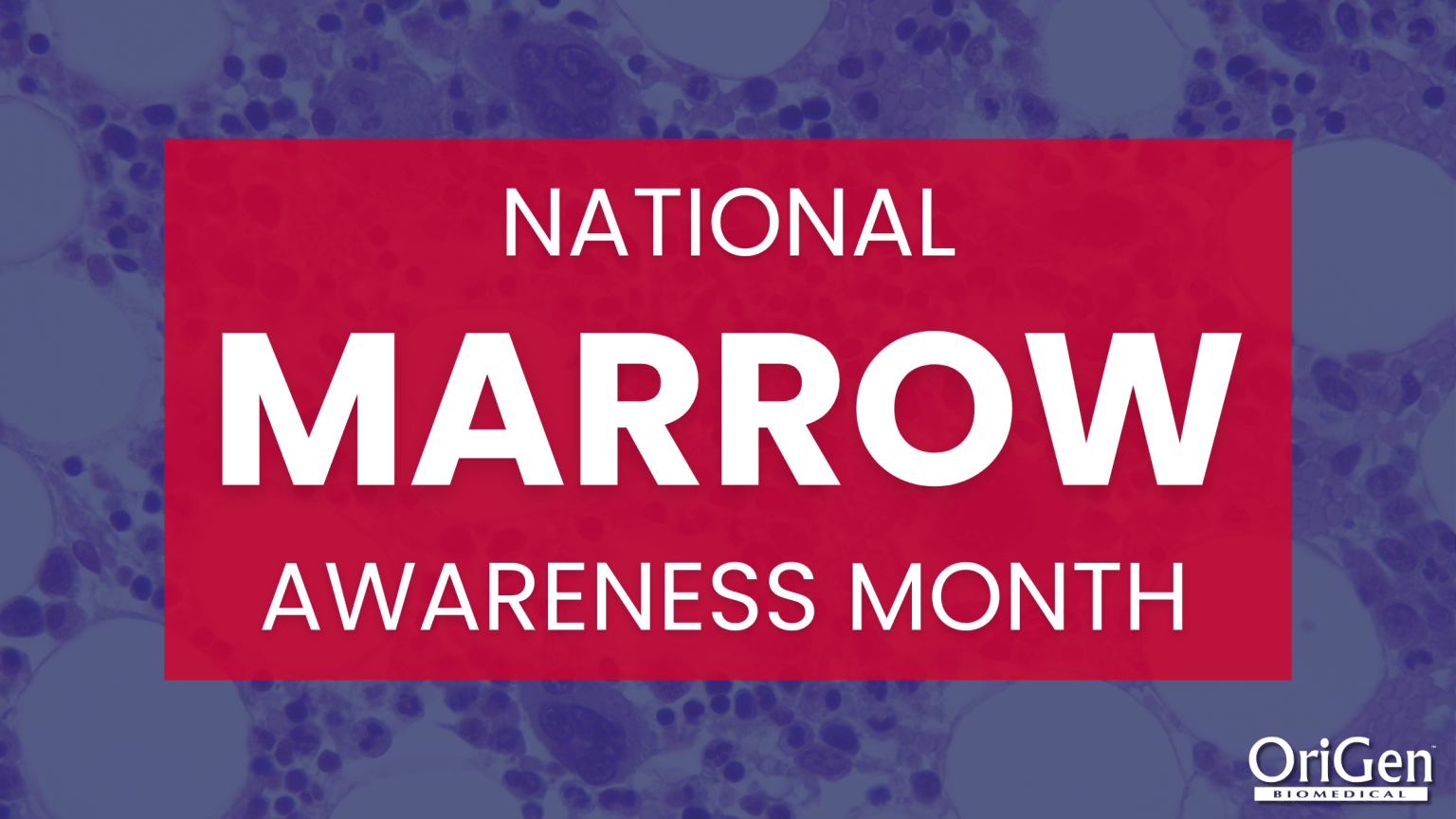 National Marrow Awareness Month 2024: Championing Life, Renewal, & Hope ...