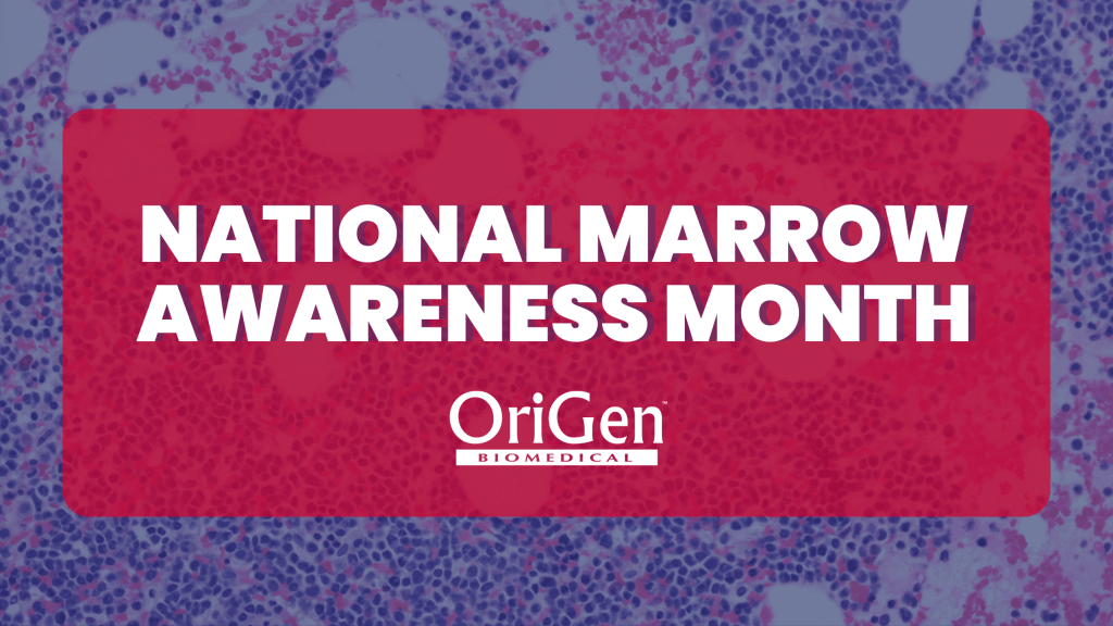 National Marrow Awareness Month: Uniting for Life, Hope, & Healing ...