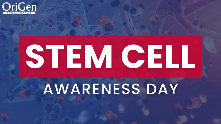 Celebrating Stem Cell Awareness Day: Advancing Medicine Through Stem ...